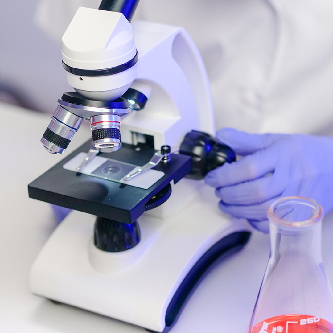 Learn Master In Microbiology with Certificate - Anytime, Anywhere ...