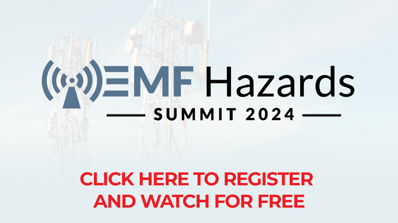 Current Stream - Brighteon University