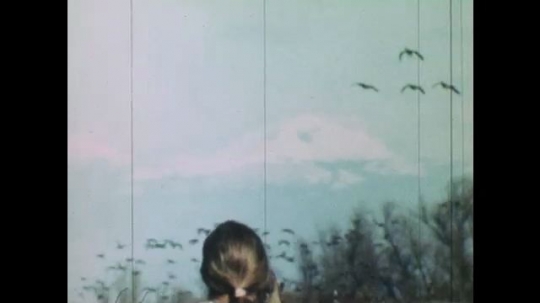 UNITED STATES: 1980s: lady takes photos of birds. Diggers drive through ...