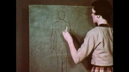 1950s: Woman draws and shades in body outline drawing on chalkboard ...