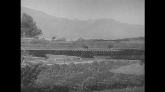 1940s: UNITED STATES: view across farm. Conservation farming example ...