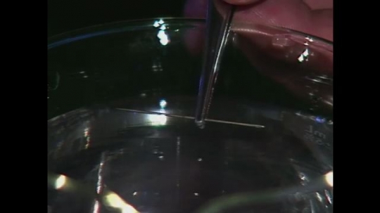 UNITED STATES: 1990s: pin on water demonstrates surface tension. Man ...