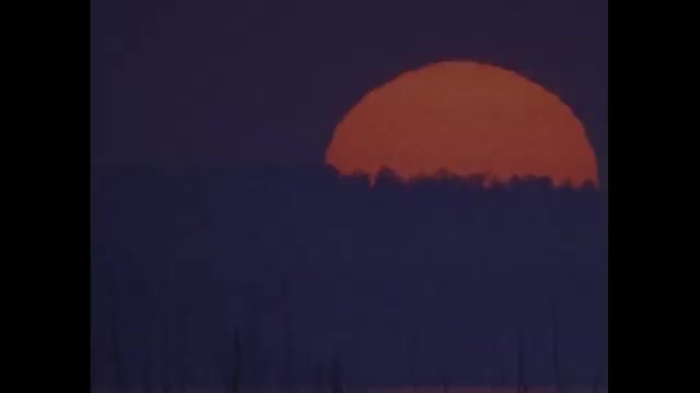 1980s: The sun setting slowly behind the trees. – Archival Footage