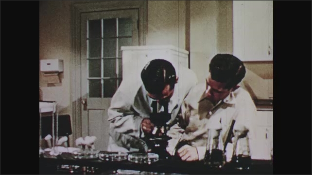 1950s: Cells move under microscope. scientists look through microscope ...