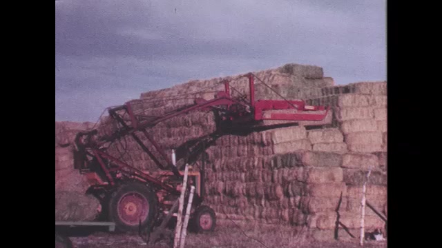1960s: Bale fork and tractor lift bales off pyramid stack to flatbed ...
