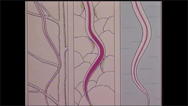 1990s: Tilt down diagram of circulatory systems in snakes. Close up of ...