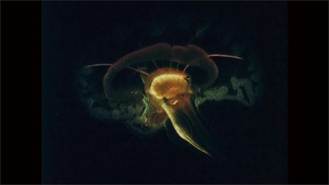 1970s: Model of human brain flashes and then remains on black ...