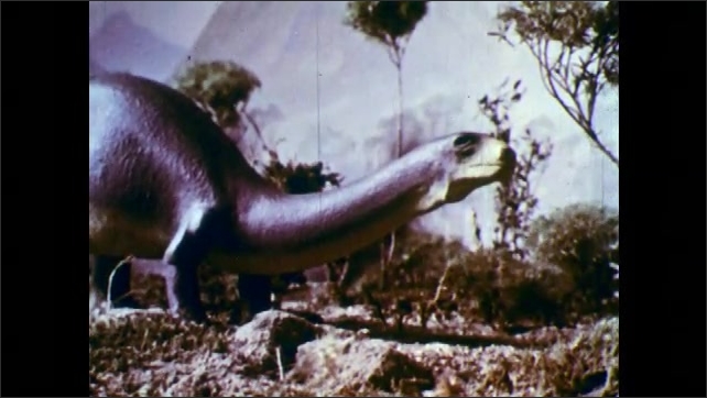 1950s: Hand places model of man next to model of brontosaurus ...