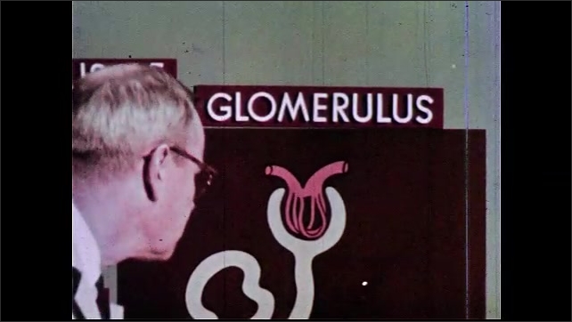 1960s: Man places magnet of word “Glomerulus” on chalkboard above ...