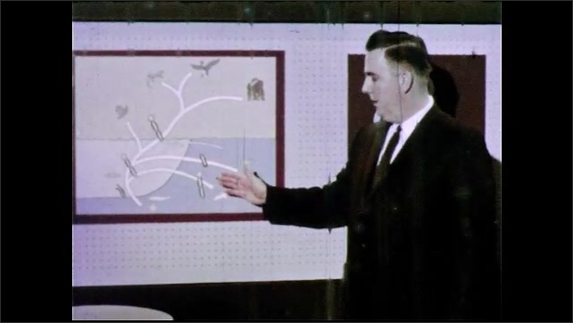 1960s: UNITED STATES: hand points to drawing of shark. Drawing of ...