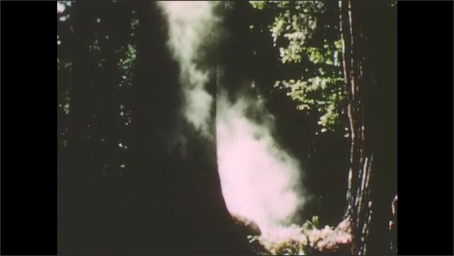 1950s: Reflection of mountains in water. Mist moves through thick ...