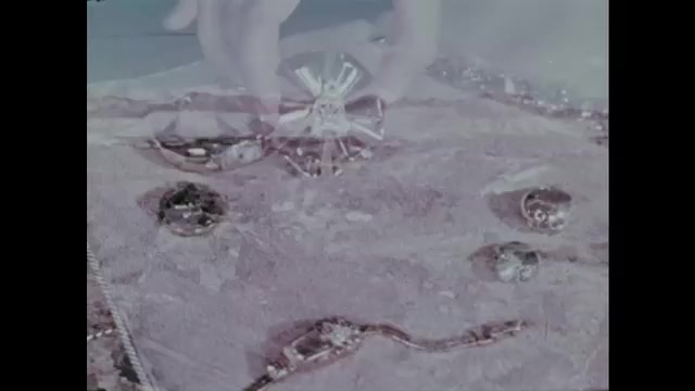 1960s: Jewelry made with petrified trees. Statues of various extinct ...