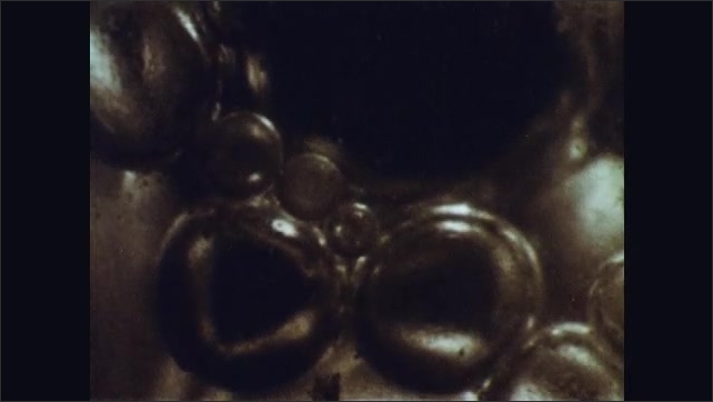 1960s: UNITED STATES: close up of algae and chlorophyll under ...