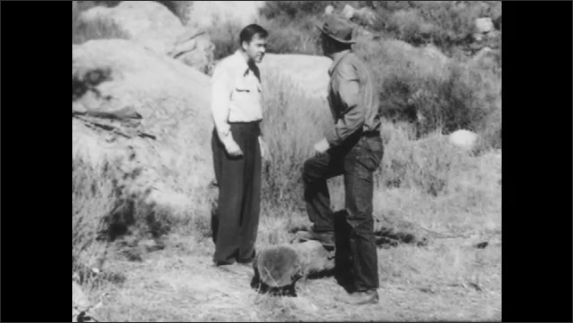 1950s: Scrubby, wild landscape. Men stand up, talk, walk, man puts foot ...