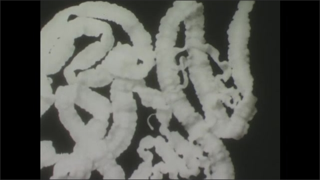 1940s: Adult tapeworm with wide segments. Tapeworm eggs under ...
