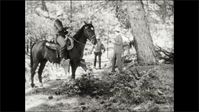 1950s: UNITED STATES: cowboys capture men. Cowboy on horse. – Archival ...