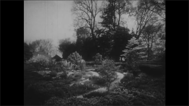 1950s: Tree-lined flower gardens. Bushes and hedges in garden ...