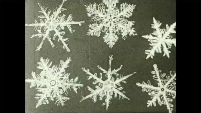 1930s: UNITED STATES: snow flakes under microscope. Six-rayed structure ...