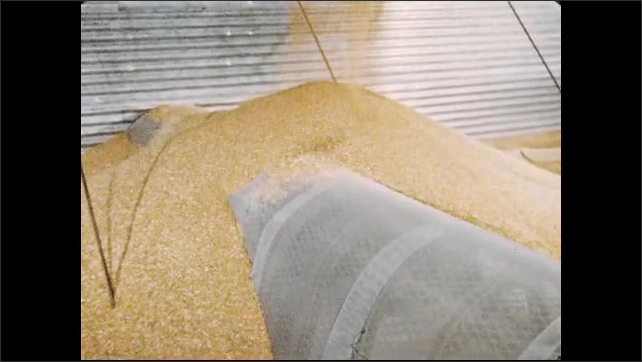 1950s: Two men cover tube-like metal cage inside building. Grain is ...
