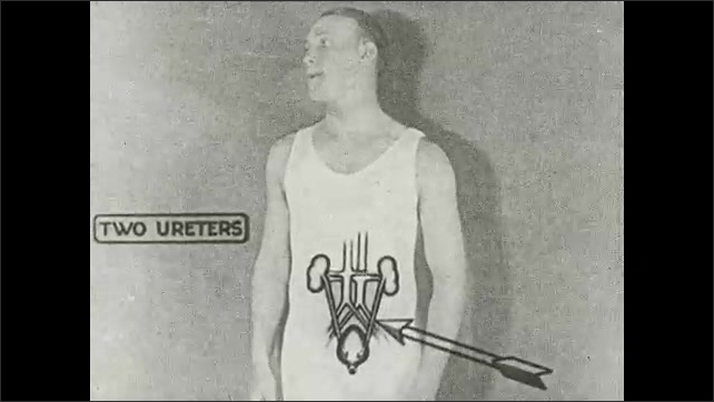 1930s: Film of man overlaid with cartoon of excretion organs. Two ...