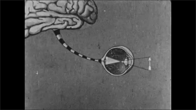 1920s: Woman’s eyes. Animation. Lines move from eye to brain ...