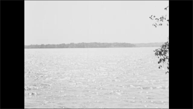 1950s: Birds fly. Trees. Statue of man. Bay. – Archival Footage