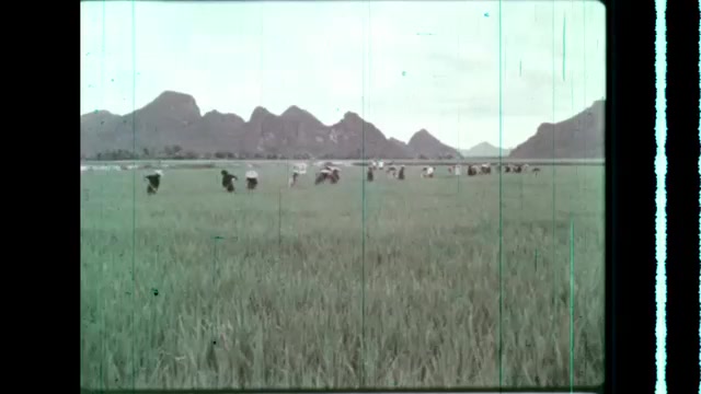 1960s: Farm workers use tools in agricultural field. Mountains ...