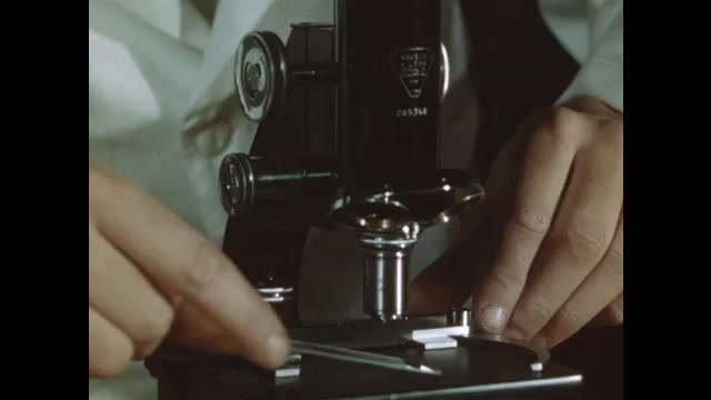 1950s: Doctor and boy look into microscope. Cells. – Archival Footage