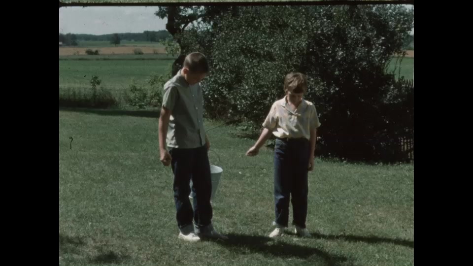 1960s: Farm. Children walk and throw chicken feed. Children walk into ...