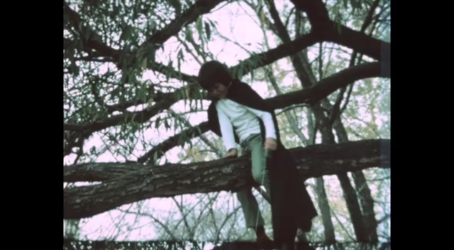 1970s: Boy sitting in tree. Man walking along pathway, word ‘path’ and ...