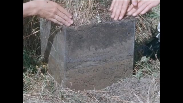 1960s: three people observing glass cube filled with soil mimicking ...