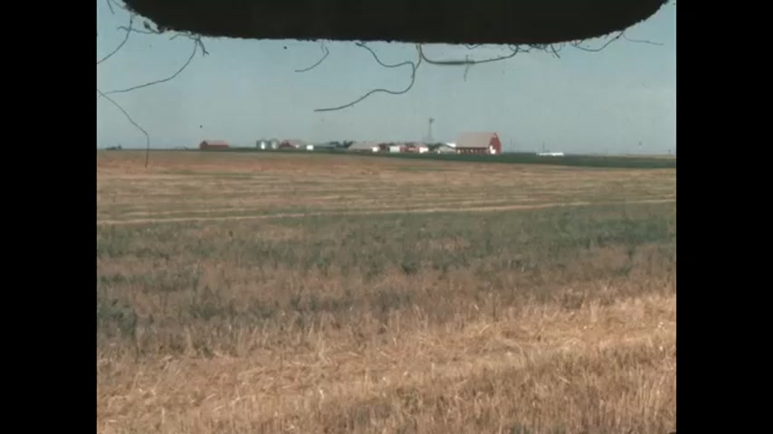 1960s: Large farm field of grain. Harvesters in the field. – Archival ...