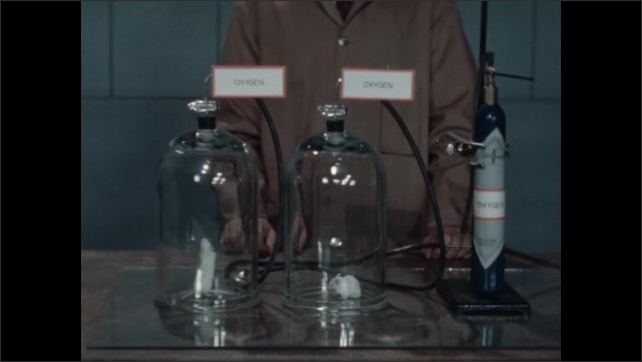 1940s: Man in lab with equipment, puts mouse under bell jar. Hand with ...