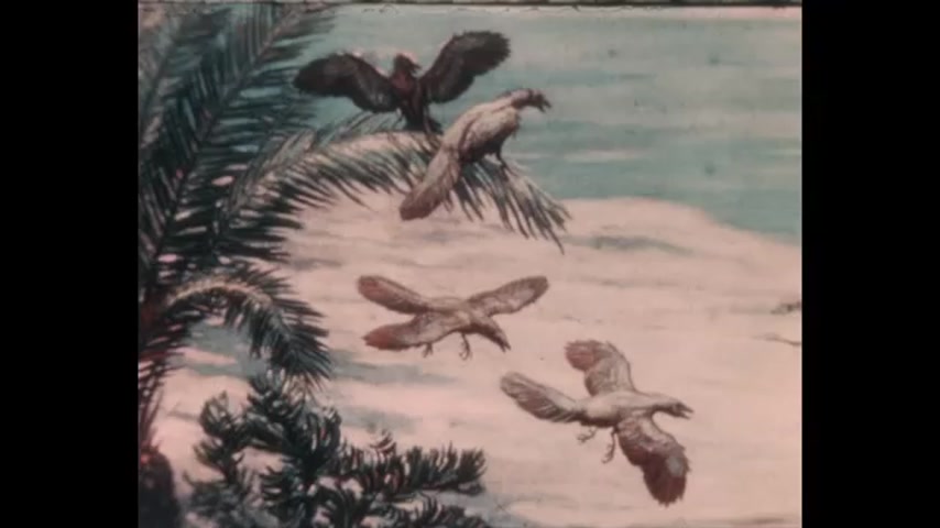 1950s: Drawing of ancient birds flying and sitting in trees. Various ...
