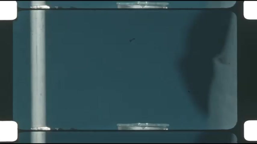 1960s: Person in lab coat sticks long thermometer into test tube of ...