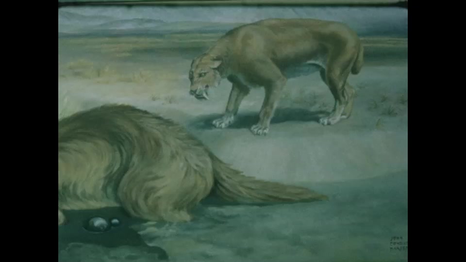 1960s: A painting of a wildcat eyeing a dead beast in shallow water ...