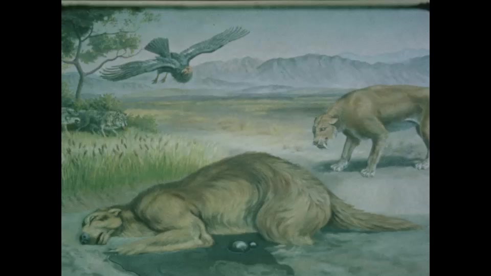 1960s: A painting of a wildcat eyeing a dead beast in shallow water. A ...