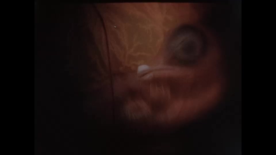 1960s: animal embryo, probably a bird, in the womb or egg, with beak or ...