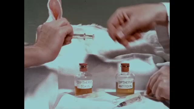 1950s: Lab workers draw samples from vials Diphtheria Antitoxin and ...