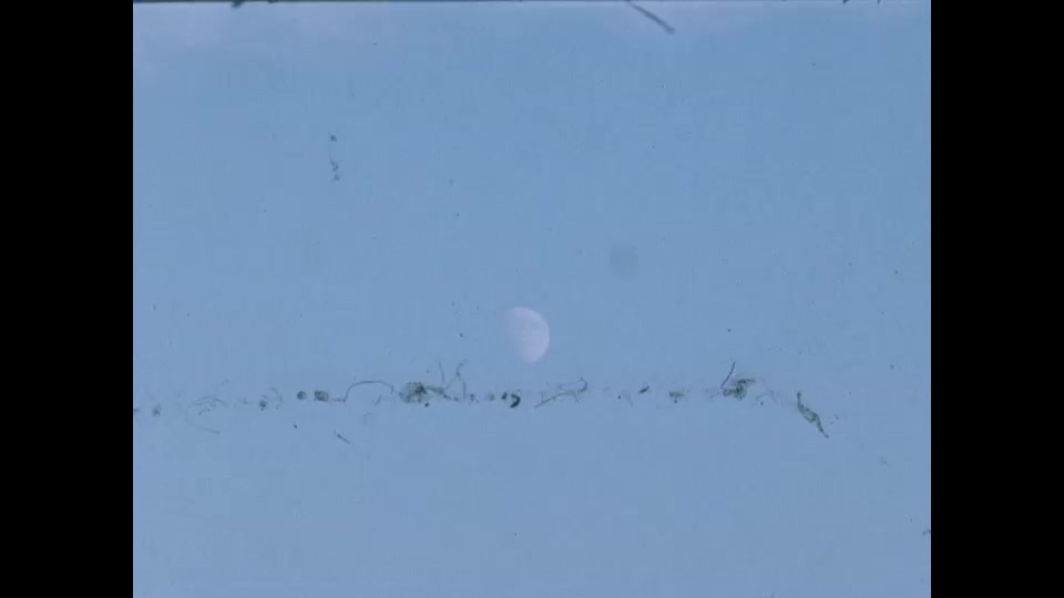 1960s: Moon in daytime sky. – Archival Footage