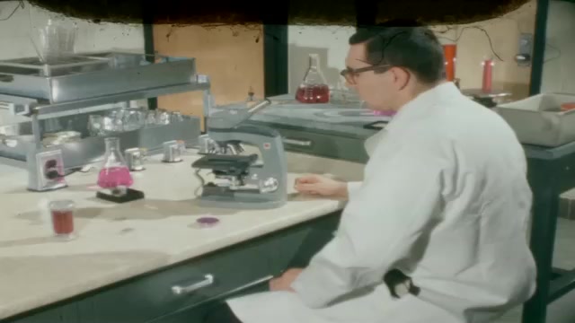 1950s: Scientist at the bench, looks a specimen under the microscope ...
