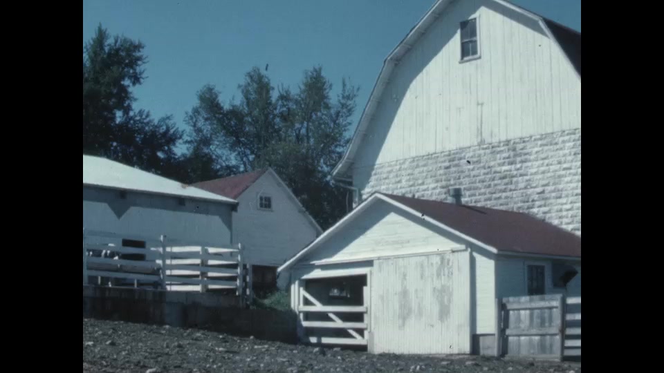 1960s: View of farmhouse and barn. – Archival Footage