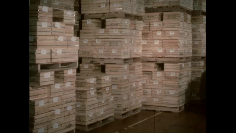 1960s: Forklift stacking cheese molds on pallet, man adjusts pallet ...