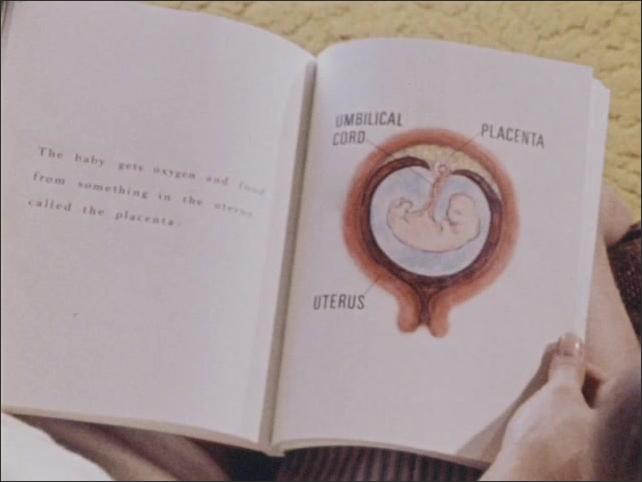1970s: Illustrated comparison of a fetus in the uterus to a pencil ...