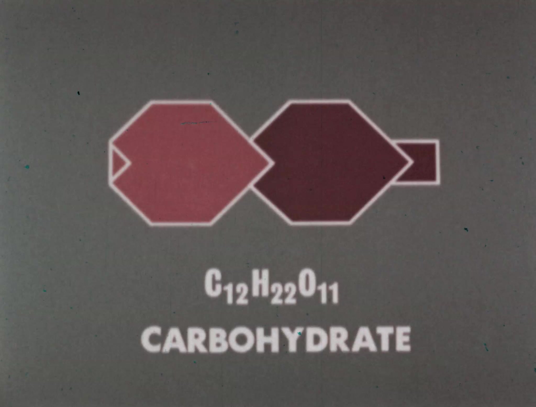 1970s: Drawing of simple sugars. Illustration of simple sugars joining ...