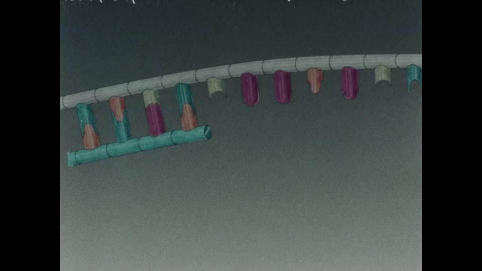 1960s: Illustration of RNA. Illustration of molecule, chain of RNA ...
