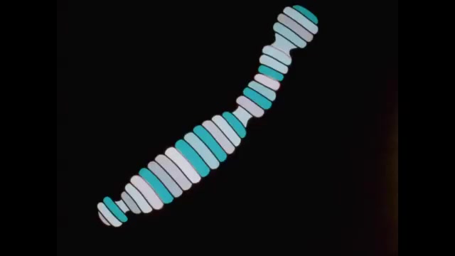 1980s: Diagram of genes on a chromosome strand. Segments highlight ...