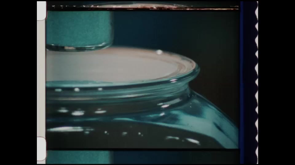 1990s: Workshop. Fishbowls on counter. Man and animated alligator speak ...