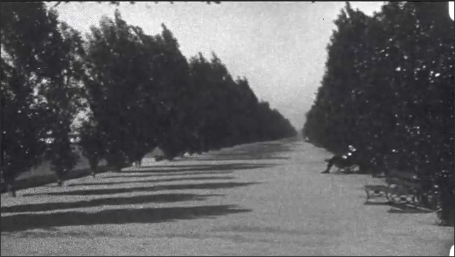 1930s: Garden, statue of man lifting stone. Lawn, allee of trees, man ...