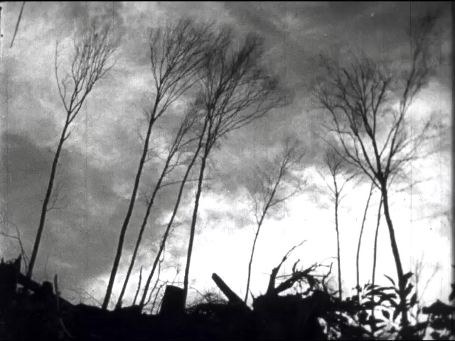 1920s: Sky. Trees. River. – Archival Footage